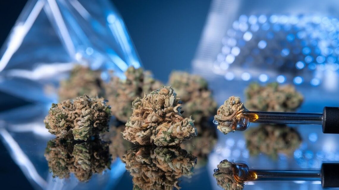 Types of Hash: A Guide to Texture, Taste & Strength - WeedInsight