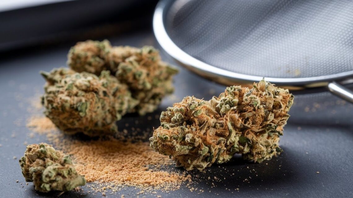 Types of Hash: A Guide to Texture, Taste & Strength - WeedInsight