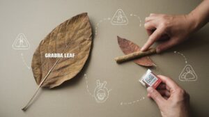 What Is Grabba Leaf? Side Effects & Uses Explained - WeedInsight