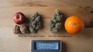 Weed Size Chart: Grams, Ounces, and Common Quantities - WeedInsight